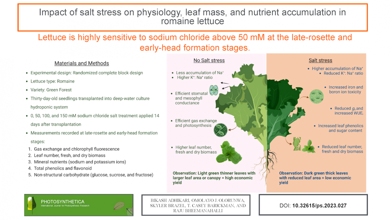 Photosynthetica: Impact of salt stress on physiology, leaf mass, and ...