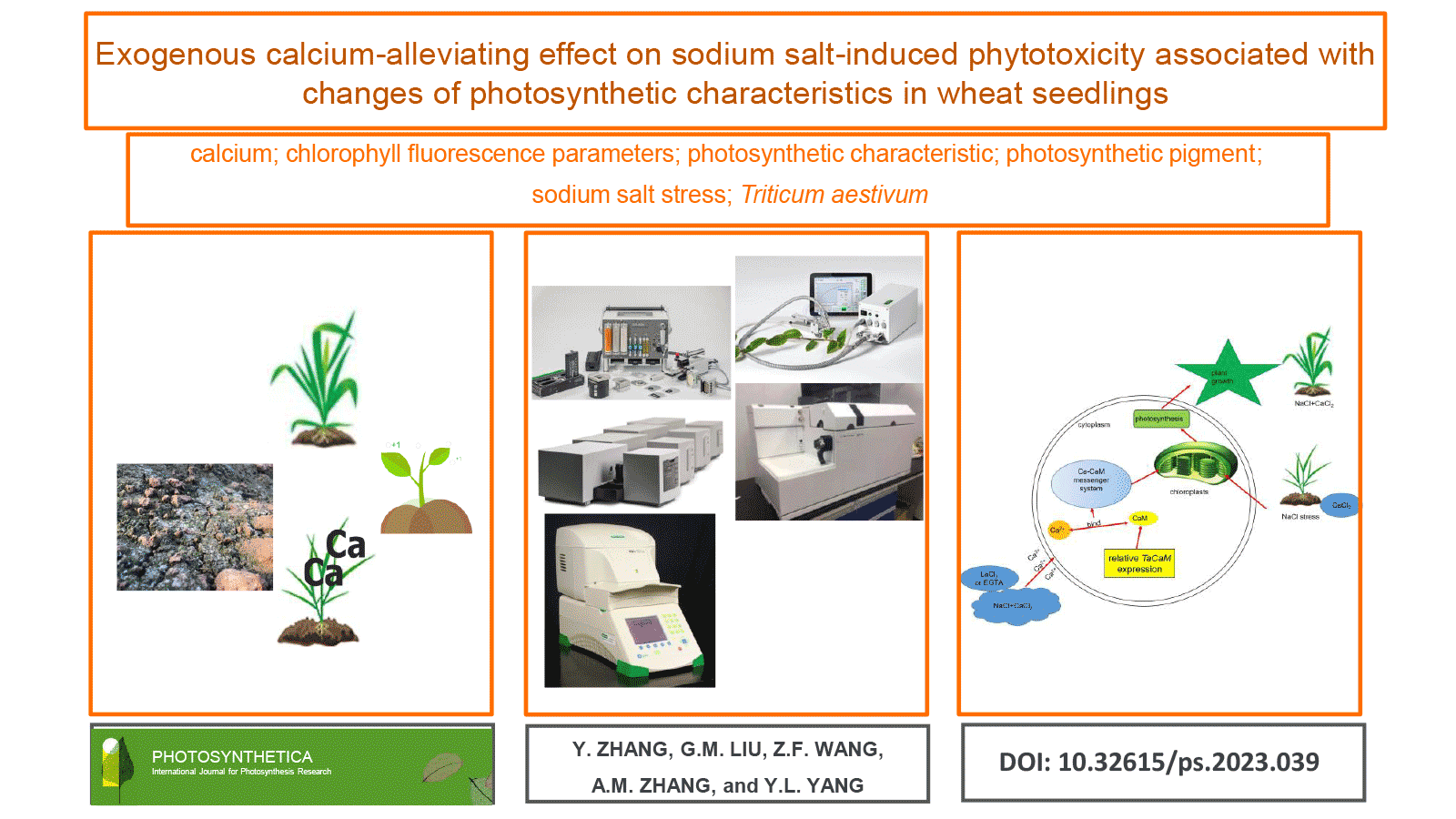 Photosynthetica: Exogenous calcium-alleviating effect on sodium salt ...