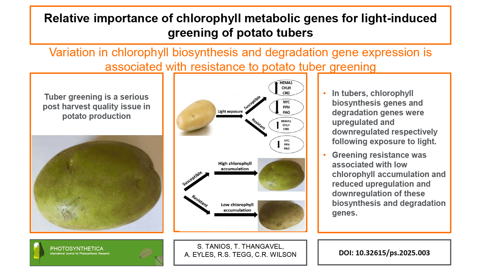 Photosynthetica: Relative importance of chlorophyll metabolic genes for ...